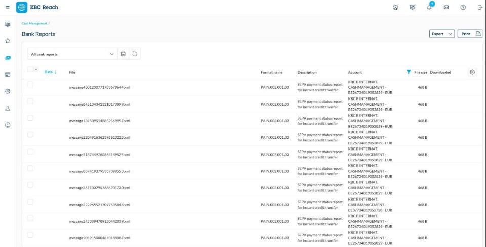 A single tool for all your domestic and cross-border payments - KBC ...