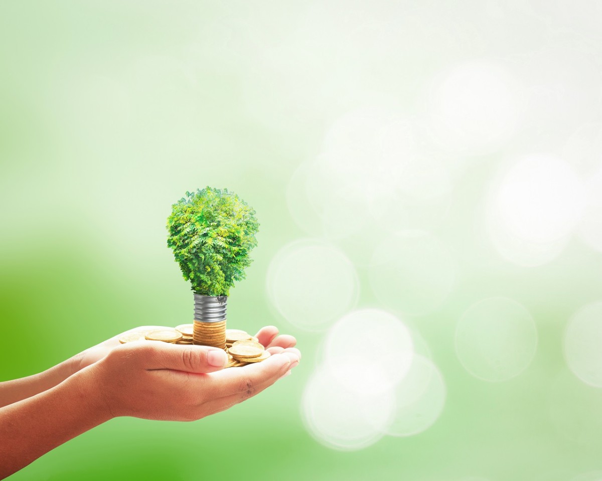 The difficult relationship of monetary policy and green transition