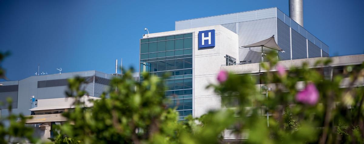 Tegen 2050 moeten alle niet-residentiële gebouwen koolstofneutraal zijn ...